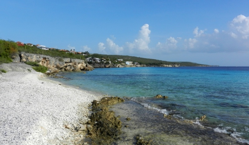 Tauchen in Curacao an Playa Largu, wunderschönes Riff
